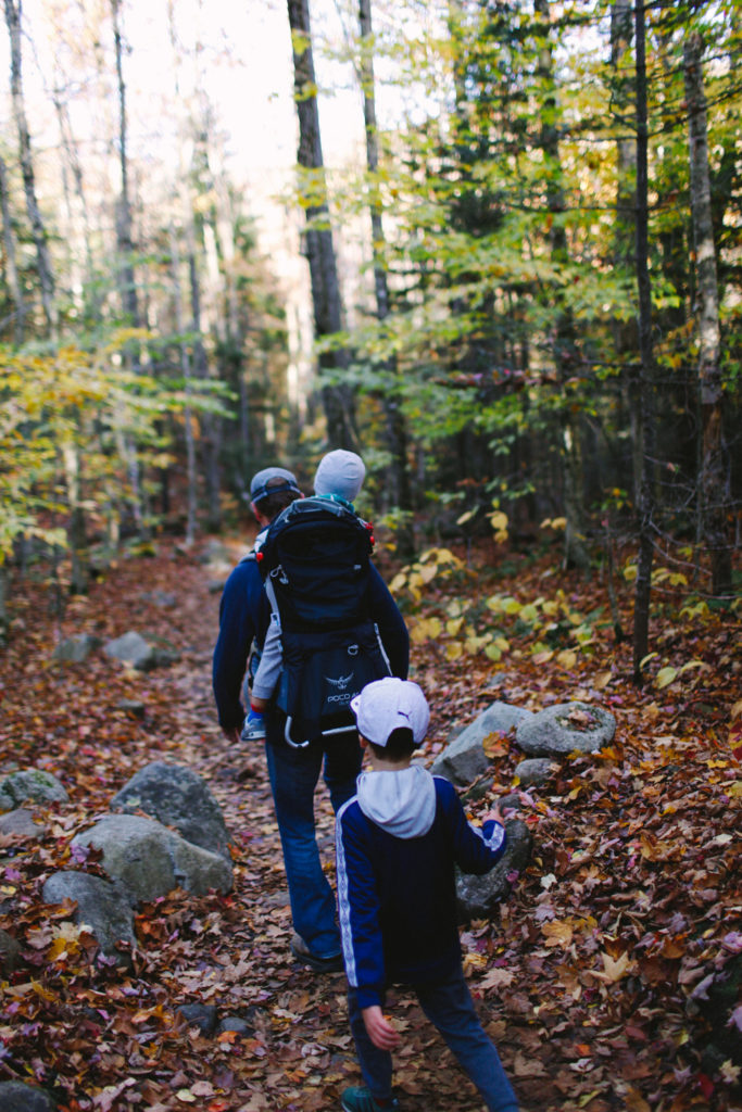 mt. willard in the fall. - Tales of Me and the Husband